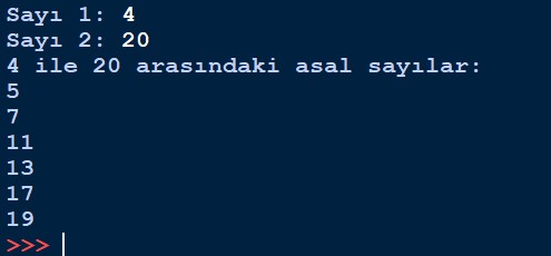 Python Ile Asal Sayı Bulma - Matematik Vakti
